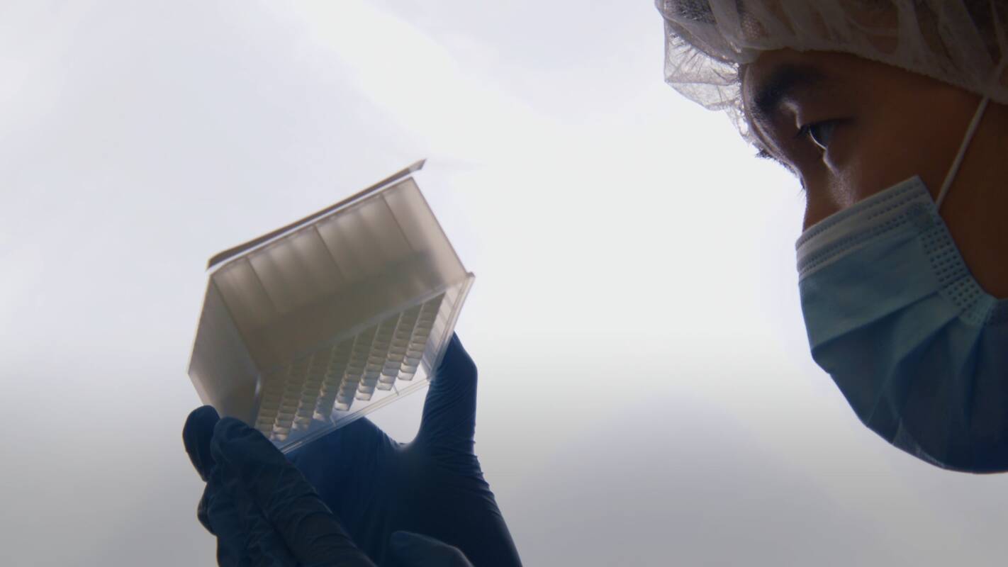 BGI - Visual Suspect